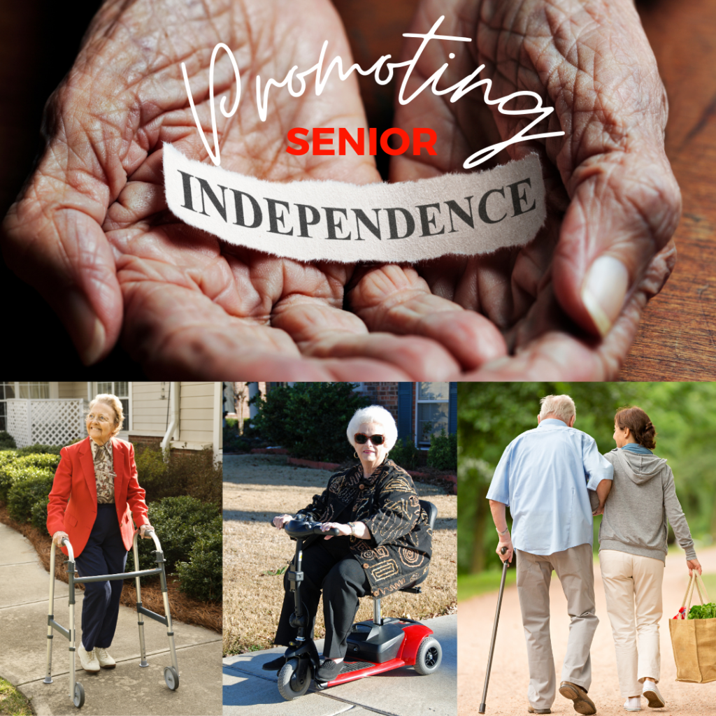 Embracing Healthy Aging: Promoting Independence and Well-being for ...